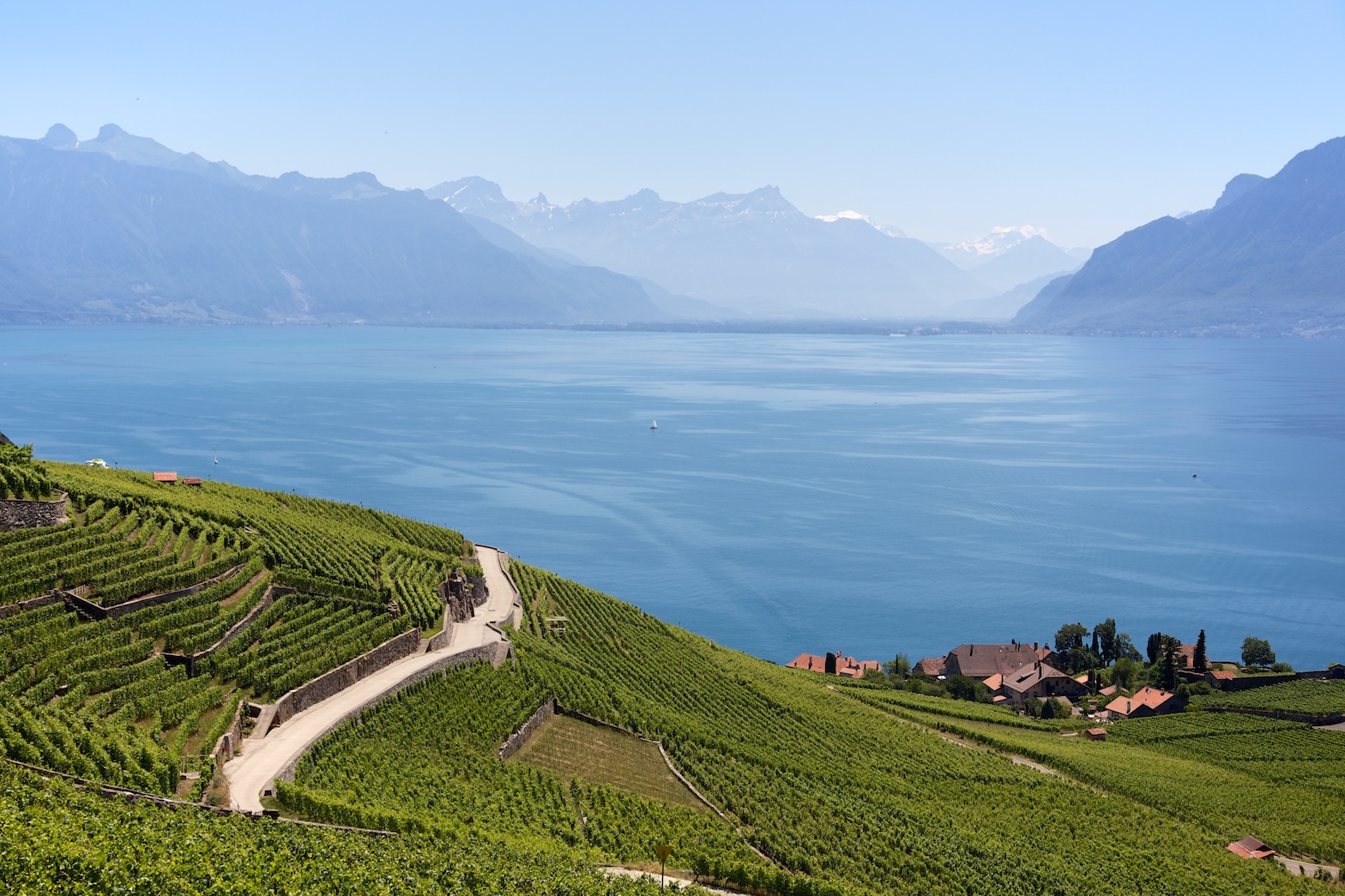Randonnée dans le Lavaux autour du lac Léman en Suisse